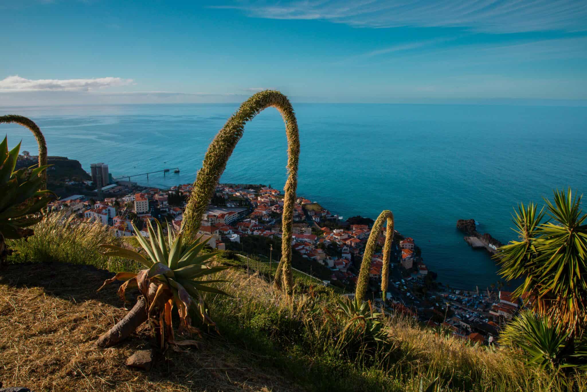 Funchal: Top-Sehenswürdigkeiten & Highlights - Funchal.de